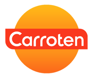 INTENSIVE TANNING GEL – Carroten Australia